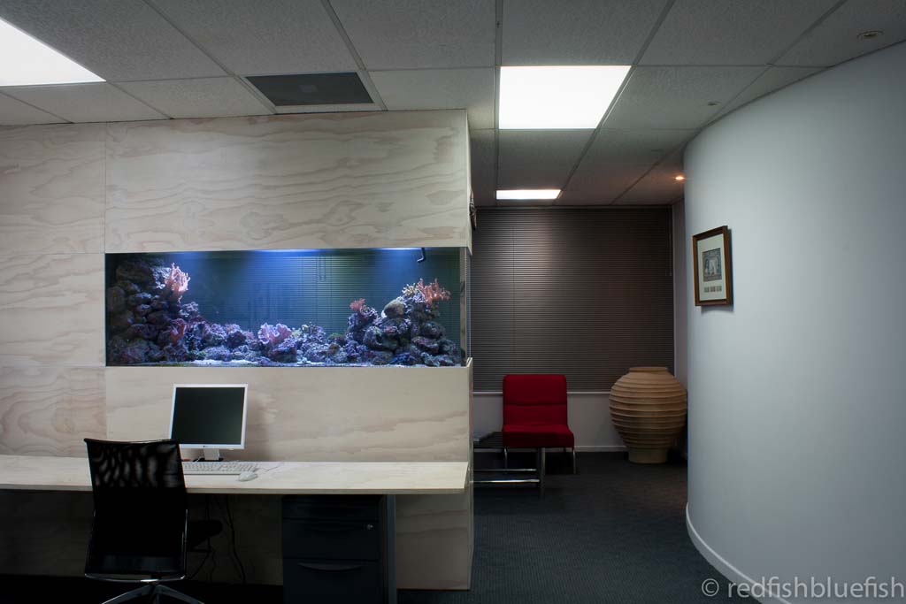 View Our Aquarium Design | Fish Tanks | Garden Ponds | Redfish Bluefish