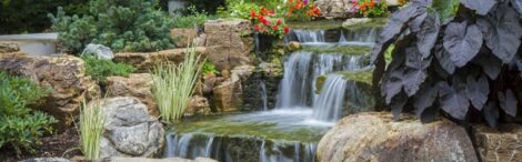 Custom Aquarium Design, Fish Ponds, Water Features and more