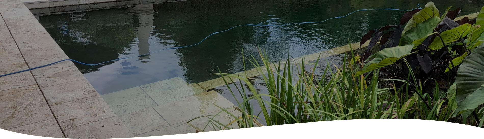 Custom Aquarium Design, Fish Ponds, Water Features and more